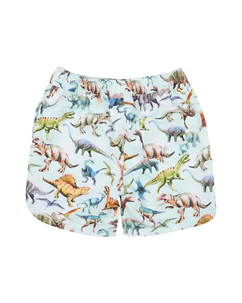 REX PRINT BOARDSHORTS | Minihaha